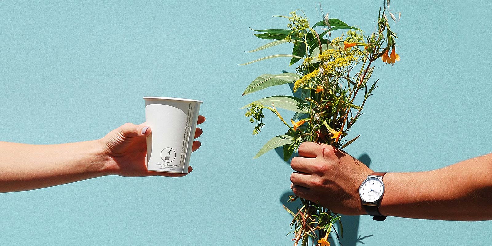 Τα ποτήρια μιας χρήσης που γίνονται δέντρα | DOC TV | documenting ...